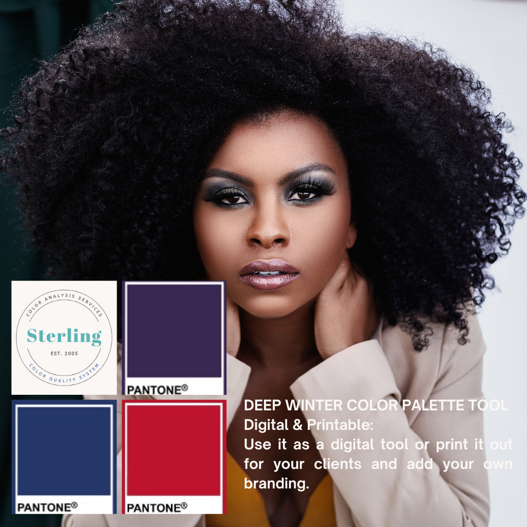 Deep Winter Color Palette Tool